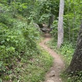 Dripping Rock South via Appalachian Trail, Virginia - 802 Reviews, Map ...
