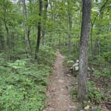 Dripping Rock South via Appalachian Trail, Virginia - 803 Reviews, Map ...