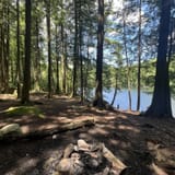 Inman Pond Trail, New York - 321 Reviews, Map | AllTrails