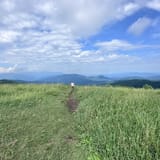 Max Patch Loop, North Carolina - 2,328 Reviews, Map | AllTrails