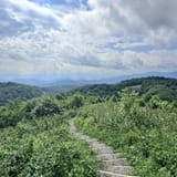 Max Patch Loop, North Carolina - 2,328 Reviews, Map | AllTrails
