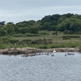 Lymington and Keyhaven Marshes Circular, Hampshire, England - 439 ...