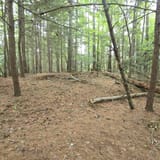 Rock Bridge Trail, Kentucky - 3,629 Reviews, Map | AllTrails