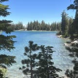 McLeod Lake Trail, California - 1,049 Reviews, Map | AllTrails