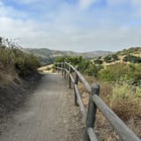 Weir Canyon Trail, California - 3,682 Reviews, Map | AllTrails