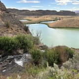 Ancient Lakes Trail, Washington - 1,519 Reviews, Map | AllTrails