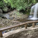 Hilton Falls Trail, Ontario, Canada - 2,707 Reviews, Map | AllTrails
