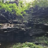 Jacoby Falls Trail, Pennsylvania - 651 Reviews, Map | AllTrails