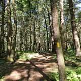 Jacoby Falls Trail, Pennsylvania - 676 Reviews, Map | AllTrails