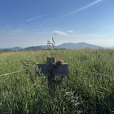 Max Patch Loop, North Carolina - 2,328 Reviews, Map | AllTrails