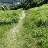Mount Mansfield via Long and Hazelton Trail, Vermont - 133 Reviews, Map ...
