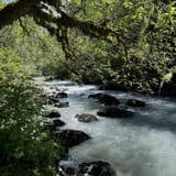 Boulder River Trail, Washington - 1,898 Reviews, Map | AllTrails