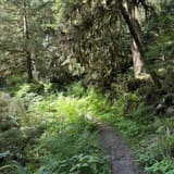 Boulder River Trail, Washington - 1,898 Reviews, Map | AllTrails