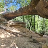 Princess Arch Trail, Kentucky - 1,407 Reviews, Map | AllTrails