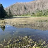 Red Lake Trail, Utah - 294 Reviews, Map | AllTrails