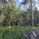 Red Lake Trail, Utah - 276 Reviews, Map | AllTrails