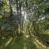 Red Lake Trail, Utah - 276 Reviews, Map | AllTrails