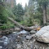 Red Lake Trail, Utah - 276 Reviews, Map | AllTrails