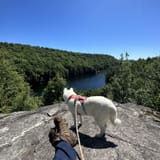 Inman Pond Trail, New York - 321 Reviews, Map | AllTrails