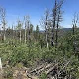 Heizer Trail, Colorado - 1,066 Reviews, Map | AllTrails