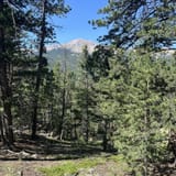Heizer Trail, Colorado - 1,066 Reviews, Map | AllTrails