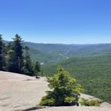 Mount Pemigewasset Trail, New Hampshire - 4,474 Reviews, Map | AllTrails