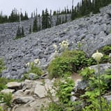 Ira Spring Memorial Trail, Washington - 2,290 Reviews, Map | AllTrails