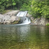 Lost Cove Loop Trail (262), North Carolina - 145 Reviews, Map | AllTrails