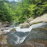 Lost Cove Loop Trail (262), North Carolina - 145 Reviews, Map | AllTrails