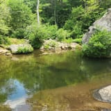 Lost Cove Loop Trail (262), North Carolina - 141 Reviews, Map | AllTrails