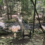Foster Falls Base Trail, Tennessee - 787 Reviews, Map | AllTrails