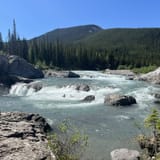 Elbow Falls Loop, Alberta, Canada - 469 Reviews, Map | AllTrails