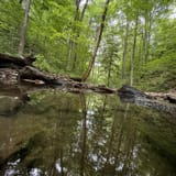Hemlock Cliffs National Scenic Trail, Indiana - 1,366 Reviews, Map ...