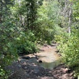 Tibble Fork Loop Trail, Utah - 836 Reviews, Map | AllTrails