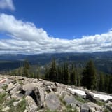 Cinnamon Mountain Trail, Montana - 231 Reviews, Map | AllTrails