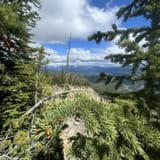 Cinnamon Mountain Trail, Montana - 231 Reviews, Map | AllTrails