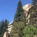 The Crags Trail, Colorado - 3,758 Reviews, Map | AllTrails