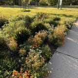 Bee Tree Lake Loop, Missouri - 546 Reviews, Map | AllTrails