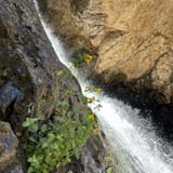 Hidden Falls, Utah - 799 Reviews, Map | AllTrails