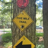Five Mile Trail, New York - 1,550 Reviews, Map | AllTrails