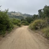 Whiting Ranch Trail, California - 1,841 Reviews, Map | AllTrails