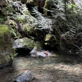 Murhut Falls Trail, Washington - 989 Reviews, Map | AllTrails