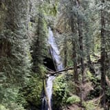 Murhut Falls Trail, Washington - 989 Reviews, Map | AllTrails