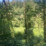 Tryon Creek Triple Bridge Loop, Oregon - 1,649 Reviews, Map | AllTrails