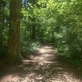 Tryon Creek Triple Bridge Loop, Oregon - 1,649 Reviews, Map | AllTrails