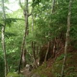 Bauneg Beg Middle Mountain Trail, Maine - 1,209 Reviews, Map | AllTrails