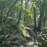 Humpback Rocks Recreation Area Trail, Virginia - 2,655 Reviews, Map ...