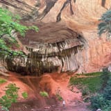 Middle Fork Taylor Creek Trail, Utah - 3,510 Reviews, Map | AllTrails