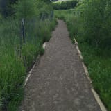 Neversink Trail, Colorado - 234 Reviews, Map | AllTrails