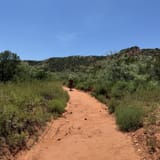 Haynes Ridge and Upper North Prong Trail Loop, Texas - 881 Reviews, Map ...